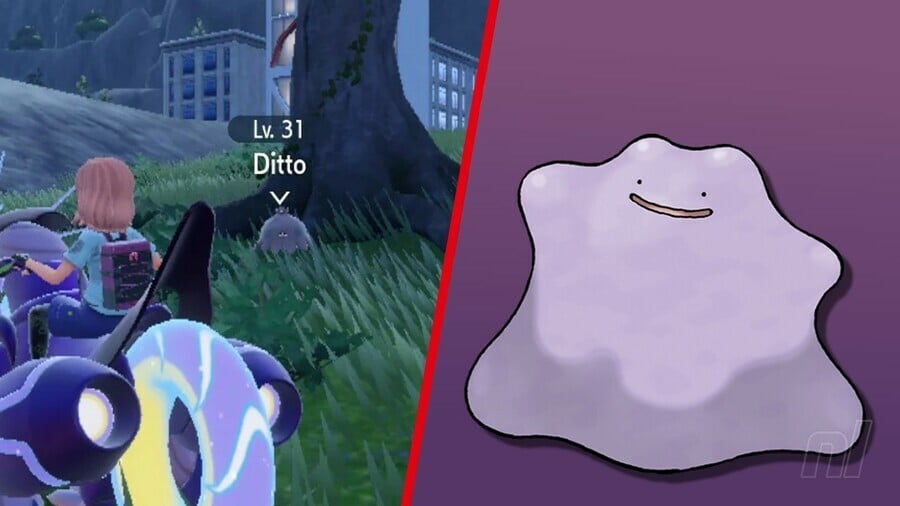 Die besten Pokémon Glow Ups in Pokémon Scarlet und Violett - Creo Gaming